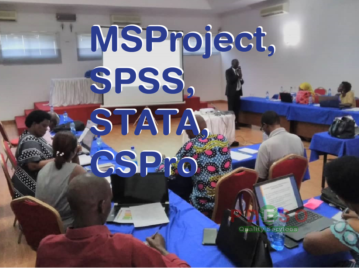 Training in Planning, Monitoring and Evaluation software